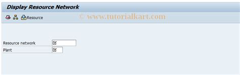 CR SAP Tcode Display Resource Network