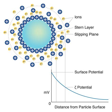 Zeta Potential Analysis Particle Technology Labs Particle