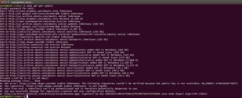 Error When Using Sudo Apt Get Update Command After Skype Install