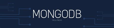Run Mongo DB on Windows Yiğit TANRIVERDİ