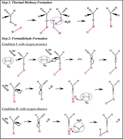 Methanol Formaldehyde Metabolism Formic Formate Toxicity Integrating Medicine Intermediates