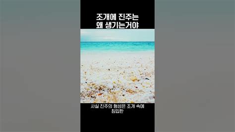 조개 속 진주에 담긴 신기한 비밀 Youtube