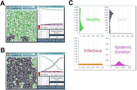 Stochasticity And The Effectiveness Of A Single Control Scenario As Download Scientific Diagram
