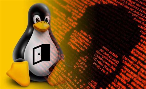 Information Security Experts Told About The Linux Malware Symbiote That Is Almost Undetectable