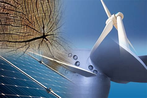 Las Renovables Siguen Creciendo En Espa A Ambientum