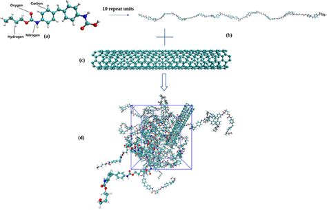 A Chemical Structure Of A Tpu Repeat Unit B A Tpu Chain Consisting Download Scientific
