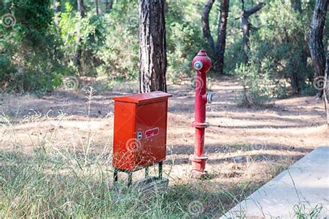 Red Coloured Fire Hydrants And Electrical Panel In Woodland Security