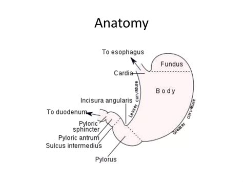 Hypertrophic Pyloric Stenosis Pptx