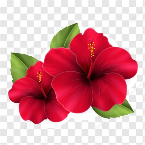 Poster Bunga Raya Lambang Perpaduan Sejarah Tahun Bungalow