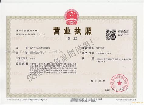 Ascorbic Acid Coated 96china Hzfoodic Price Supplier 21food