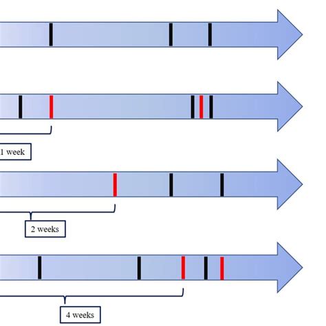 Ecg Selection The Figure Shows The Schema Of Ecg Selection For Our Cnn Download Scientific