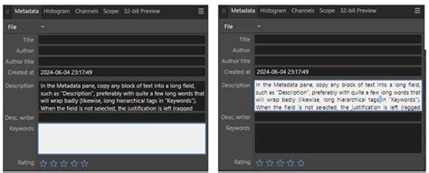Metadata Pane Suggestion Use Flush Left Text Feedback For The Affinity V2 Suite Of Products