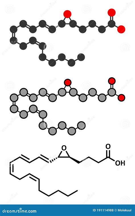 Leukotriene A4 Lta4 Molecule Skeletal Formula Chemical Structure