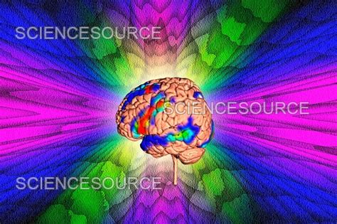 Brain Activity During A Visual Languag Stock Image Science Source
