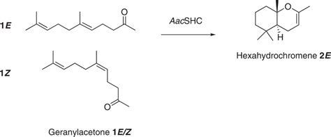 Biotransformation Of Geranyl Acetone 1ez With The Wildtype Aacshc Only