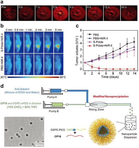 Nir‐ii Absorbing Organic Nanoagents For Photoacoustic Imaging And Photothermal Therapy Shao