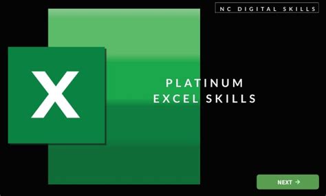 Excel Task 1 Info