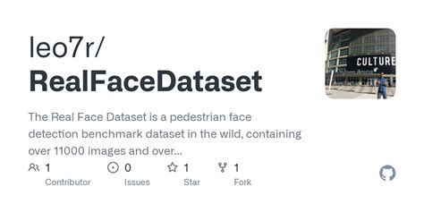 Github Leo7r Realfacedataset The Real Face Dataset Is A Pedestrian