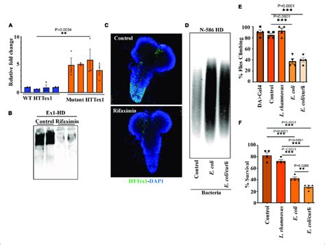 Microbiota Modulate Htt Aggregation Locomotor Behavior And Lifespan