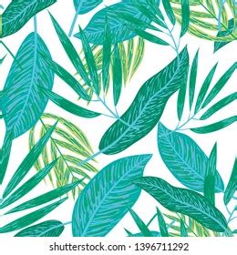 Tropical Palm Leaves Green Jungle Leaf Stock Vector (Royalty Free ...