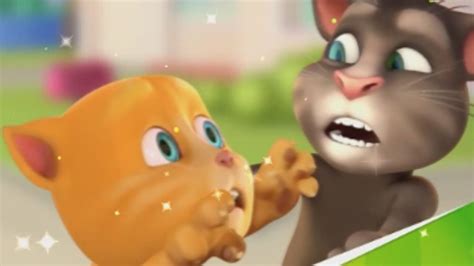 The Naughty Cat Tom Had A Fight And He Needs Care Youtube