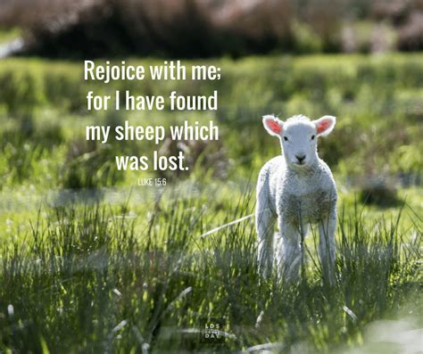 Luke 156 Lds Scripture Of The Day