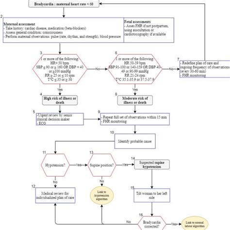 Who Intrapartum Care Hypotension Algorithm Download Scientific Diagram