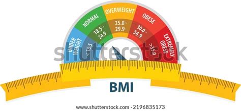 Body Mass Index Calculator Collections Stock Vector Royalty Free