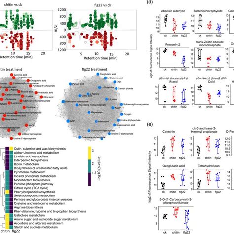 Framework Of Integrative Multi‐omics Network Analysis For Chitin‐ And
