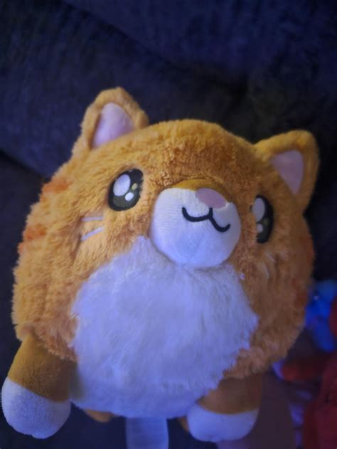 Squishable Kitty
