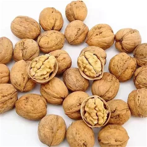 Thin Paper Shell Walnut 103type Yunnan Origin Kernels And In Shell