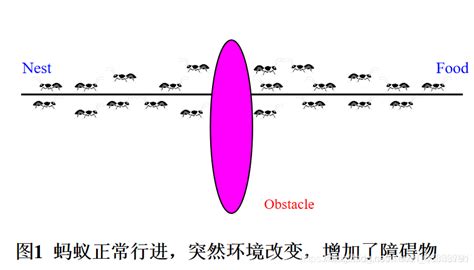 基于蚁群聚类算法的图像边缘检测 蚁群算法边缘检测 csdn博客