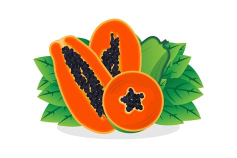 Papaya Logo