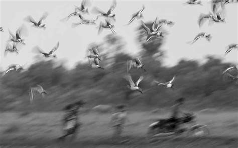 Suong Mardy Exposé à Laéroport Pour Le Phnom Penh Photo Festival