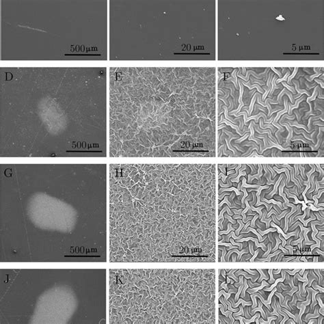 Sem Micrographs Of Modified Layers Magnifications Of 10 000 × A