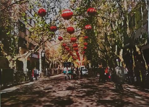 老照片，九十年代的昆明城，人民生活穷困但是宁静祥和 凤凰网