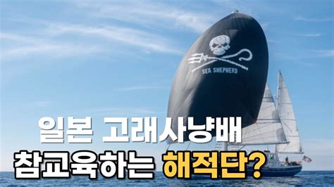 일본 고래사냥 재개에 분노한 해적같은 해양보호단체 시쉐퍼드 Youtube