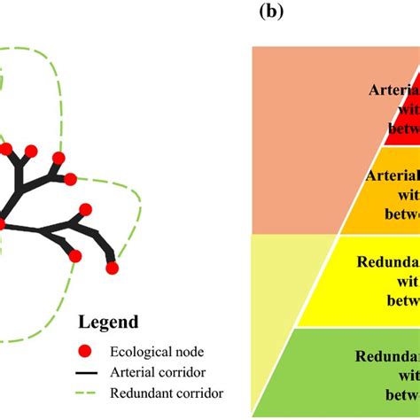 A Principle Model Of The Arterial Corridor Ecological Networks Contain Download Scientific