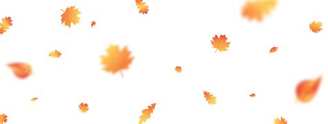 단풍 배경 학교 프레임으로 돌아갑니다 가을 주황색과 빨간색 잎 배너입니다 안녕하세요 가을 카드입니다 소셜 미디어 디자인 큰 가을 세일 단풍나무와 참나무 떨어지는 단풍나무