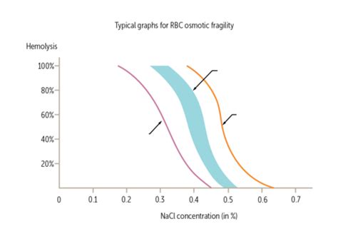 Clinical Hematology Module 4 Flashcards Quizlet