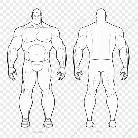 신체 개요 벡터만화클립 아트상표 Png 일러스트 무료 다운로드 Lovepik