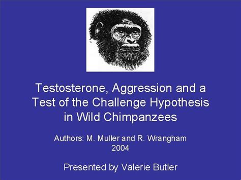 Testosterone Aggression And A Test Of The Challenge