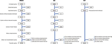 Number Of Cycles According To Sequence Of Events That Take Place From Download Scientific