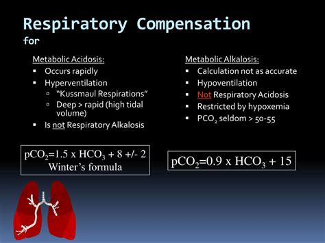 Ppt Acid Base Powerpoint Presentation Free Download Id1901918