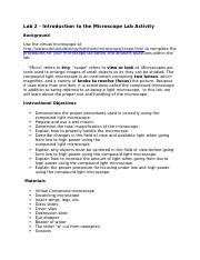 Lab Bio Docx Lab Introduction To The Microscope Lab Activity Background Use The