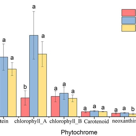 Plant Phytochrome Content In Leaves Results Are Means And Standard Download Scientific Diagram