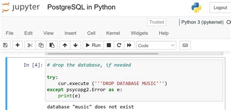 How To Connect And Use Postgresql In Python