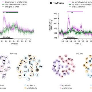 Decoding Size Among Animate Or Inanimate Objects Only For A Original Download Scientific