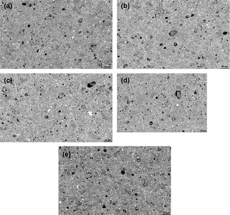 Sem Micrographs Of The Surface Of The Polished Test Specimens A Mm