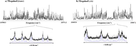 Rotationally Resolved Fluorescence Excitation Spectra Of The S 1 ← S 0